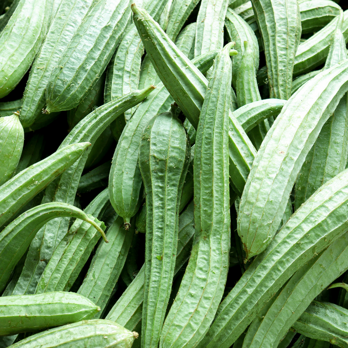 Ridge Gourd- Organic – Satva Farm